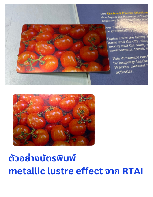 เครื่องพิมพ์บัตรพลาสติก Bravo RTAI สำหรับ หน้าหลัก